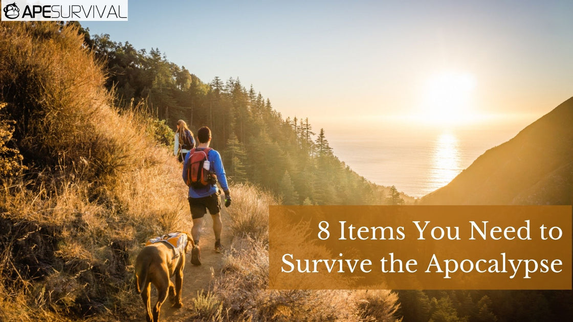 8 Items You Need to Survive the Apocalypse – ApeSurvival
